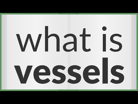 Vessels | meaning of Vessels