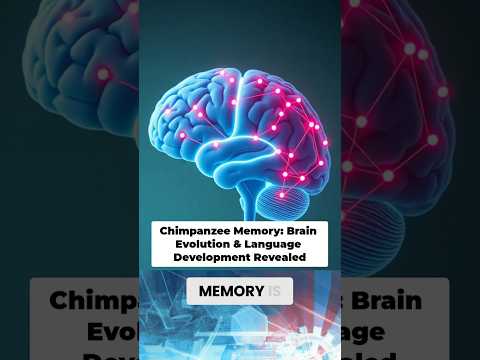 Does Memory Shape 🧠 Our Speech? 🗣️