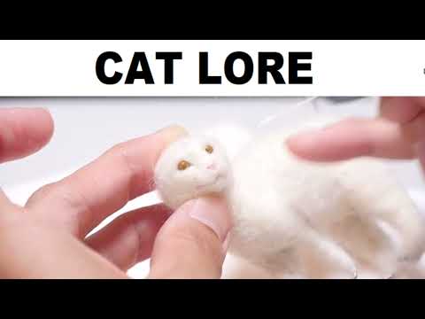 Steam Community :: Video :: cat lore
