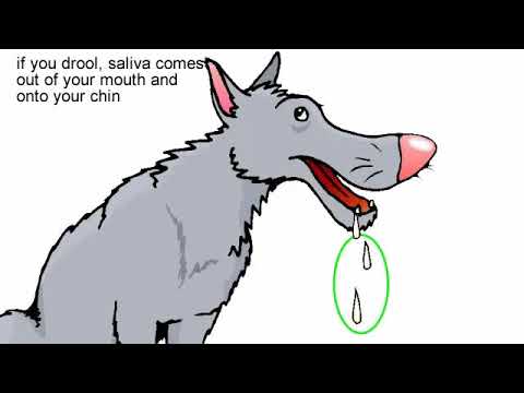 drool meaning | Vocabulary for Kids | Children's Dictionary | Learn English Vocabulary