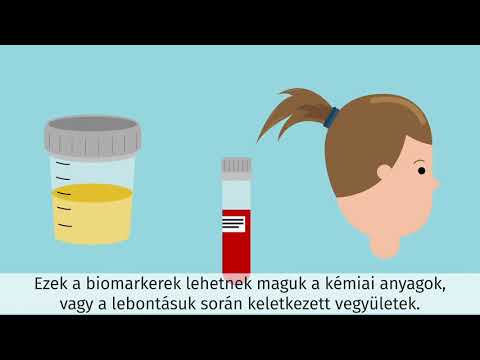 HBM4EU – Science and Policy for a Healthy Future – Hungarian