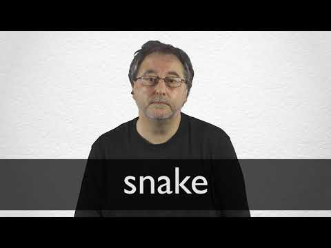 How to pronounce SNAKE in British English