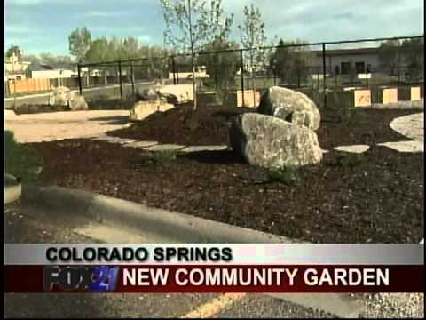 ALCC/PLANET National Day of Service (Fox 27)
