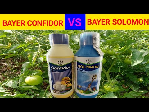 Bayer Confidor||vs|| Bayer Solomon|| Insecticide|| uses| Dose