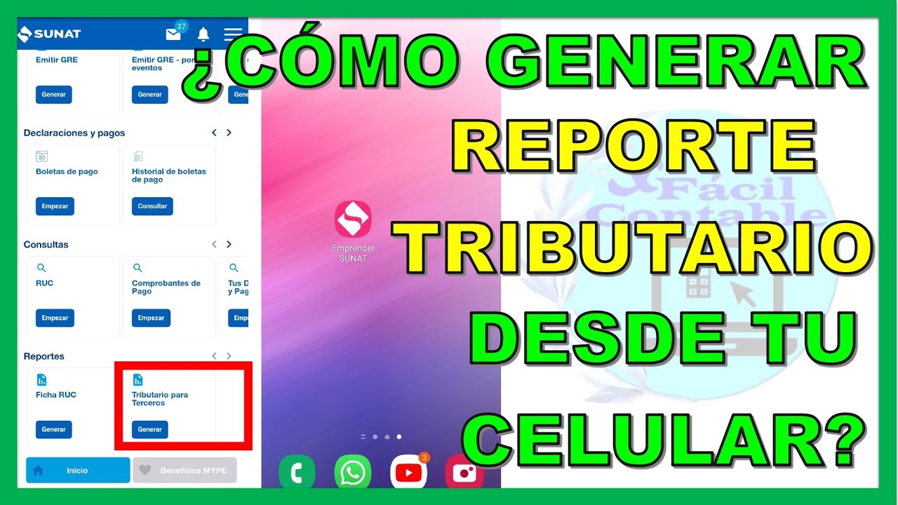 ¿CÓMO GENERAR REPORTE TRIBUTARIO DESDE TU CELULAR? |APP SUNAT