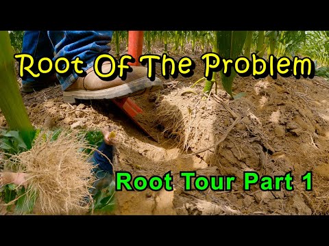 The Root Of The Problem: Root Tour 2023 Part 1