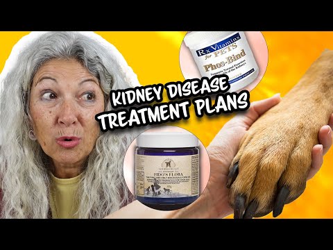 Treating Kidney Disease