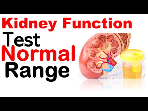 Kidney function test normal range