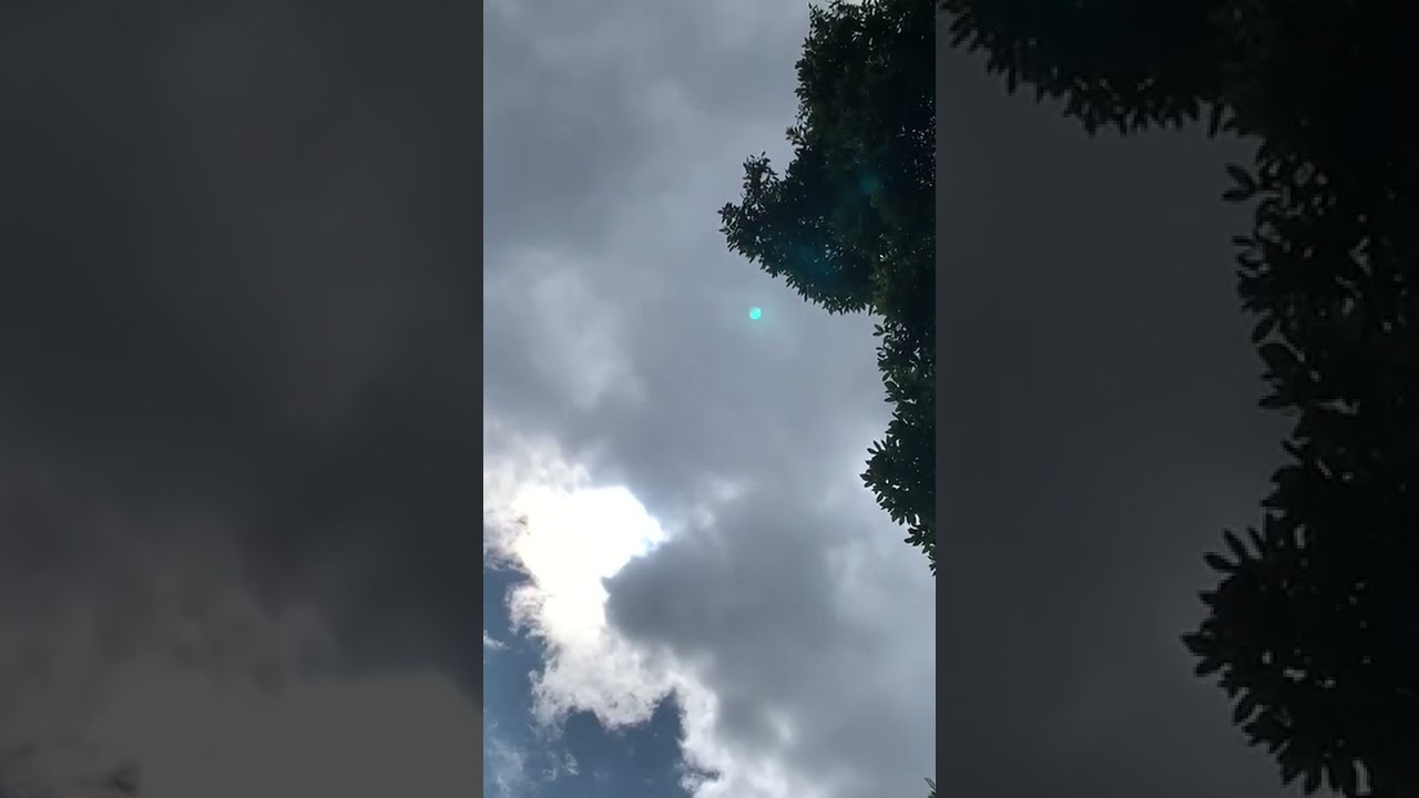 Blessed Mother mary appears to pilgrims in Subukia