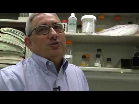 Meet MCW-Central Wisconsin: Assistant Dean for Basic Science Curriculum