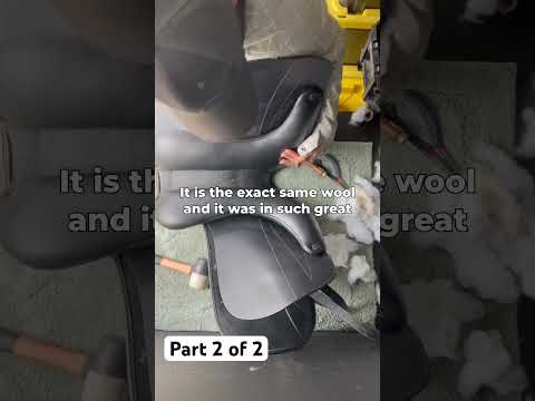Part 2 of reflocking to rebalance a dressage saddle. #saddlefitting #horse #saddle #equestrian