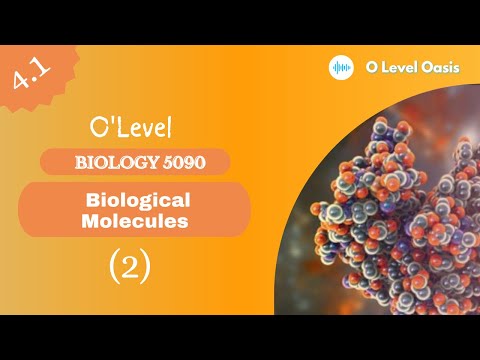 Monomers & Polymers | O Level Biology | chapter 4 | Biological Molecules| 5090 biology | Unit: 4.1