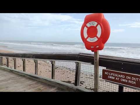 Florida Virtual Park Walk | Picnic Area, Overlook, Beach | Gamble Rogers State Park | Flagler County