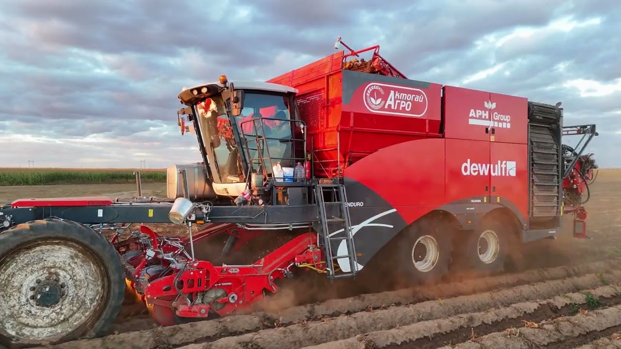 Dewulf Enduro self-propelled potato harvesters | APH Group