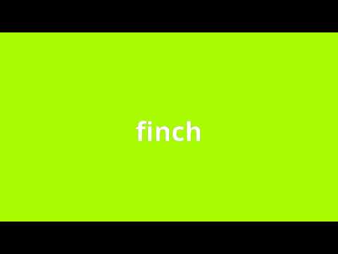 what is the meaning of finch
