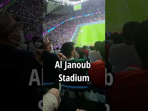 Al Janoub Stadium #shorts