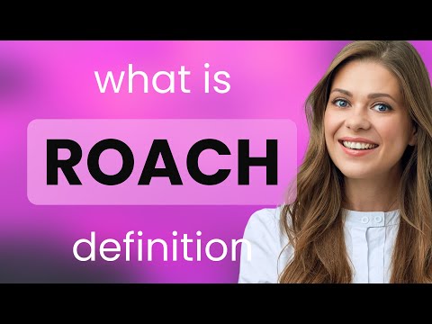 Roach — ROACH definition