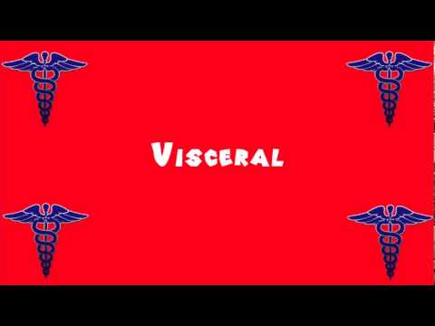 Pronounce Medical Words โ Visceral