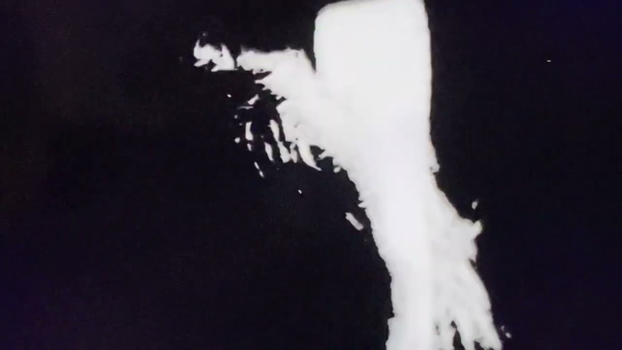 TRESPASSER - The Abomination of Desolation (OFFICIAL MUSIC VIDEO)