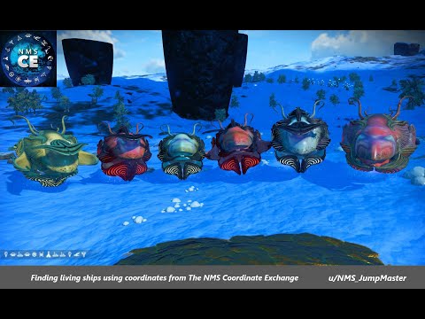 Using coordinates to find a living ship in No Man's Sky