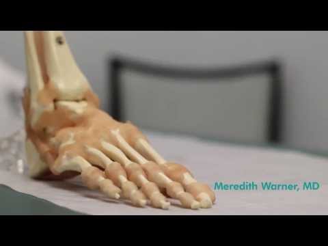 What is an Orthopedic Surgeon? Dr. Meredith Warner: Baton Rouge: