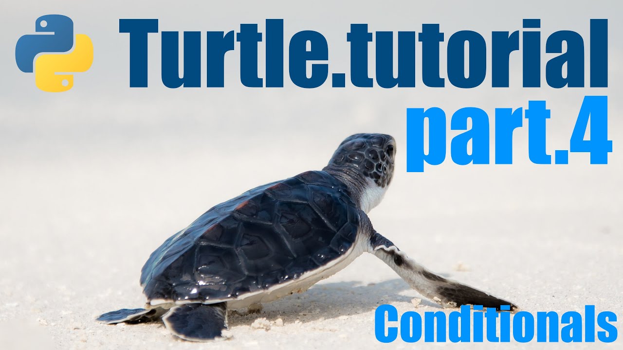 Python Turtle Tutorial - Lesson 4 - Conditionals