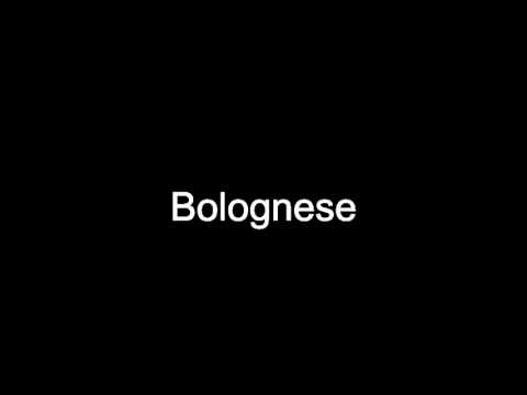Bolognese pronunciation english Bolognese definition english