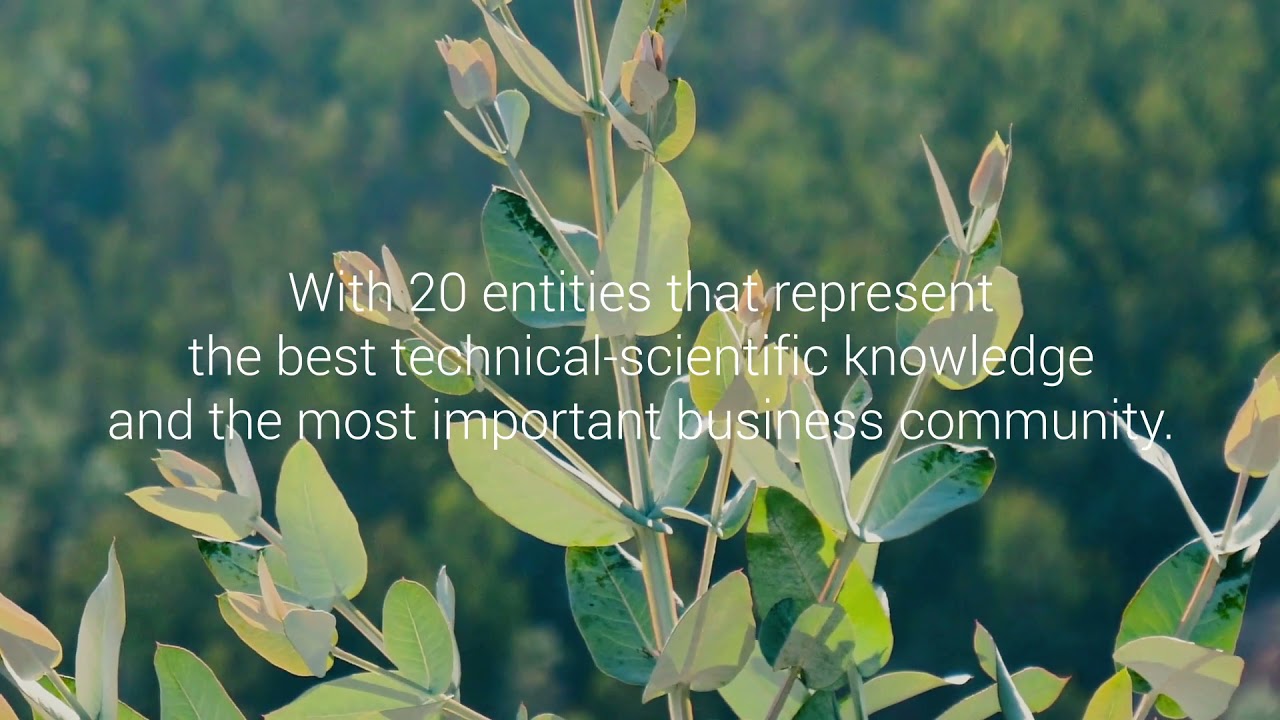 rePLANt Project - Presentation (EN)