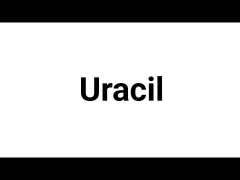 Uracil || How to pronounce Uracil || Uracil Meaning
