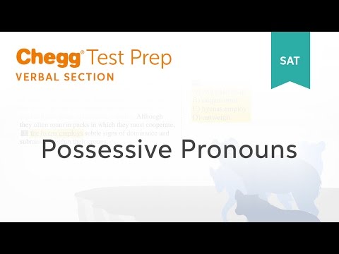 Possessive Pronouns and Antecedents Video Lecture - Crash Course for ...