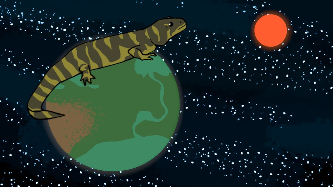 Speculative Evolution On A Planet Of Newts