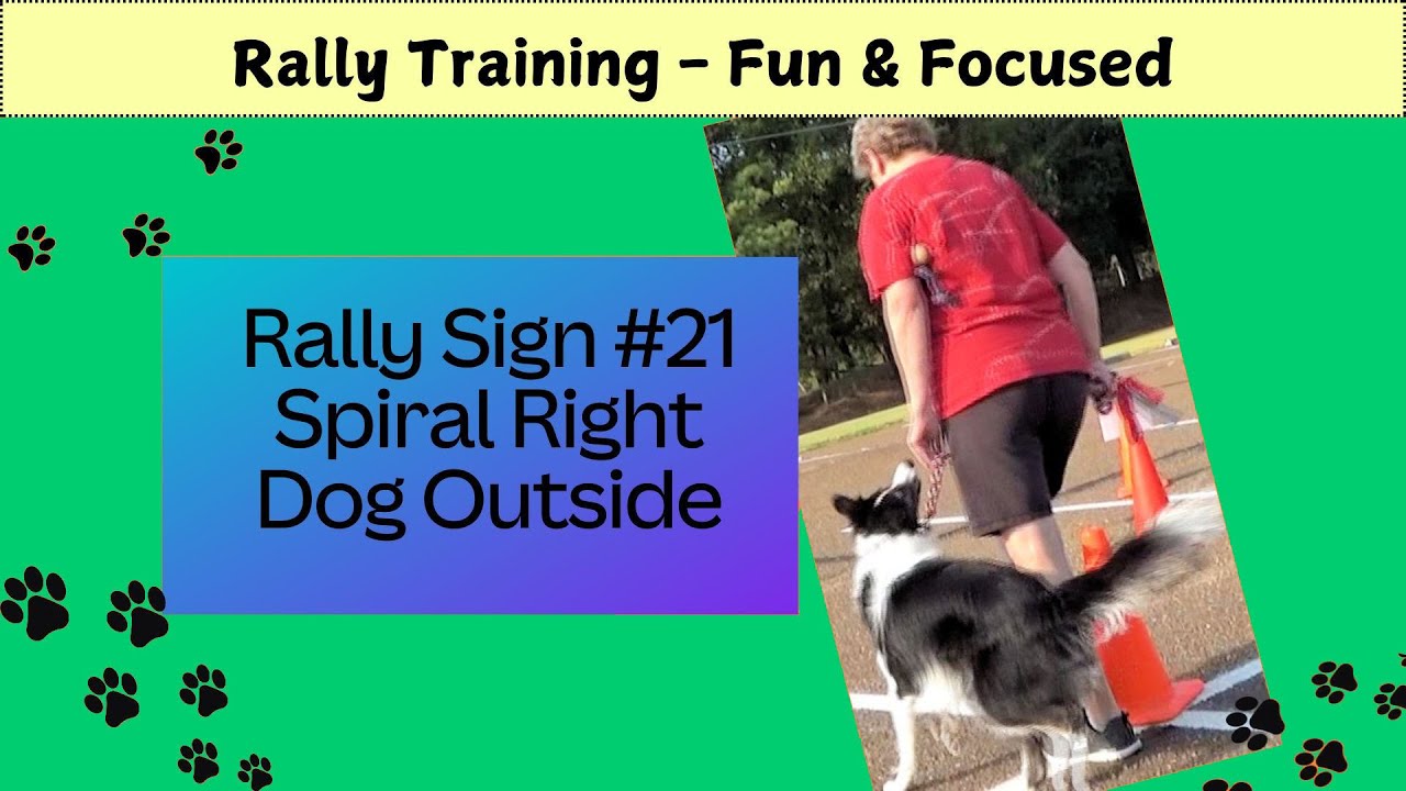 Rally Sign #21 Spiral Right – Dog Training Fun & Focused - DebbyQuigley.com