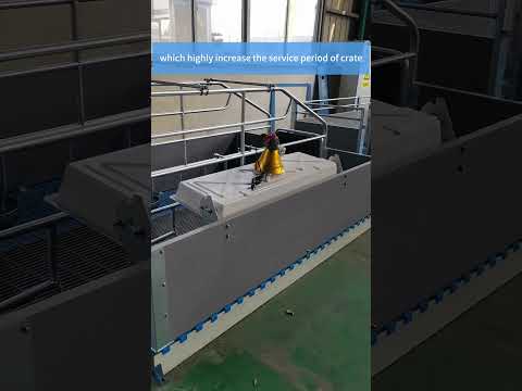 Pig Farm Equipment pig farrowing crate ——Hengyin#factory