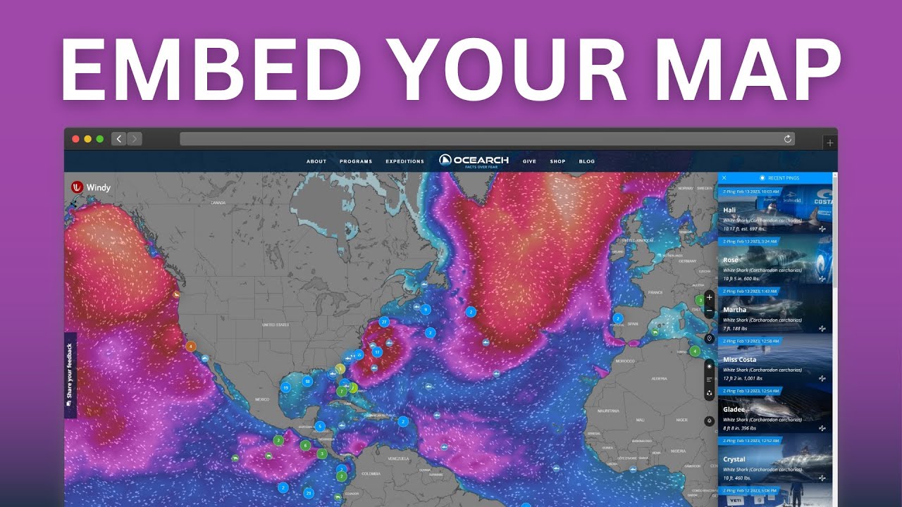 How to embed your custom map with Mapotic