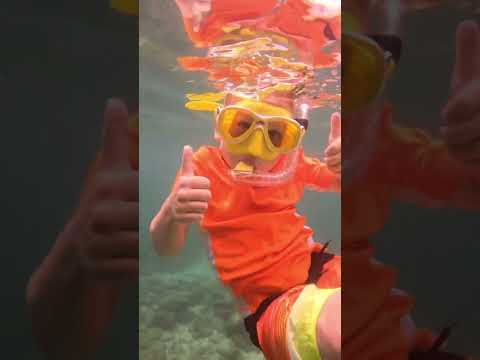 Can you pronounce Humuhumunukunukuapua?