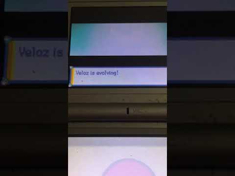 Level 25 crobat pokemon heart gold