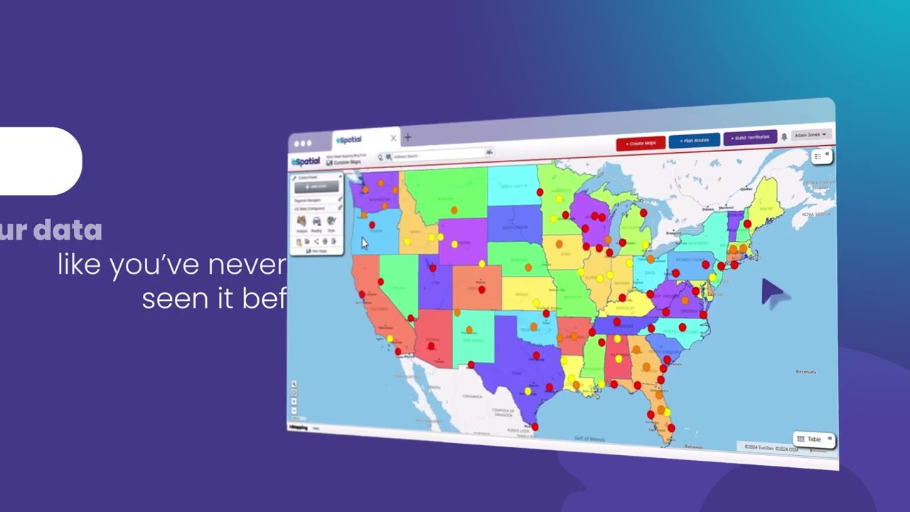 What is mapping software