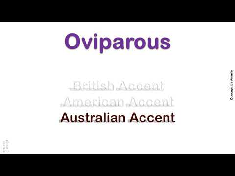 Oviparous How to Pronounce Oviparous in Australian Accent, British Accent, American Accent ?