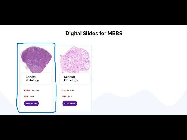 Prepared Microscope Slide Digital Oral Pathology - Oral Histology Face ...