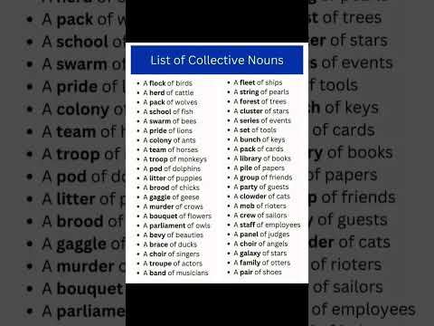List of collective nouns#english #basicvsadvanced #vocabulary #study #englishlanguage #youtubeshorts