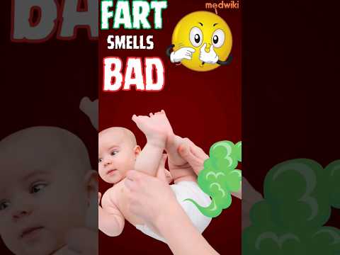 Why a Fart Smells Bad? #fart #smelly #bad #gas