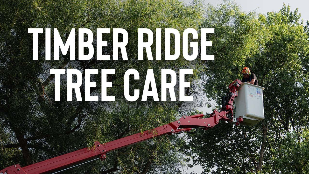 Stories from the Field: Timber Ridge Tree Care