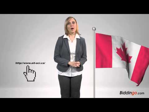Biddingo.com - How to grow your business?
