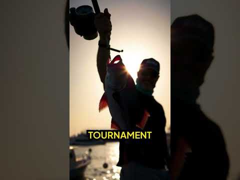 Top 5 South Carolina fishing spots | Bass, trout, lakes, rivers, pier & coastal fishing in SC