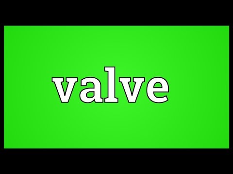 Valve Meaning