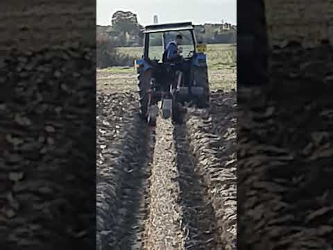 Ford 5030 Tractor at Sturton, Stow & District Ploughing Society - Sunday 27th October 2024