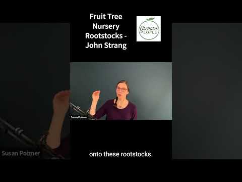 Fruit Tree Nursery Rootstocks with John Lang 🍎🌳😀 #shorts #rootstock #appletrees