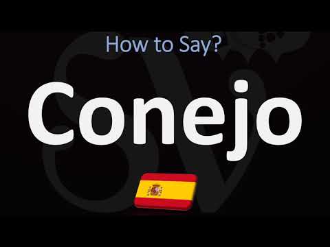 How to Say Rabbit in Spanish? | How to Pronounce Conejo?