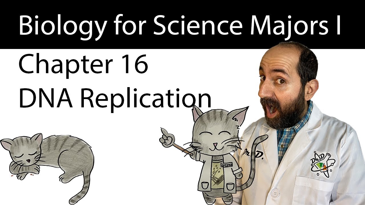 Chapter 16 – The Molecular Basis of Inheritance