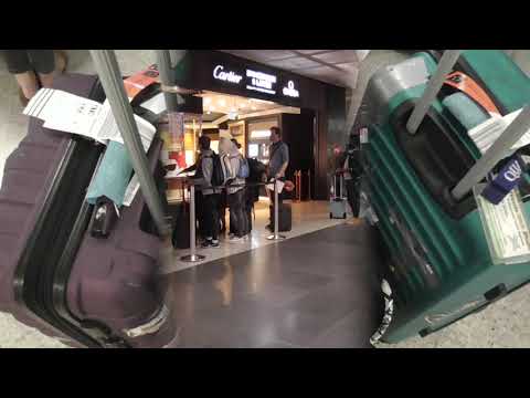 Frankfurt Airport and Senator/Business Lounges During Covid 2021